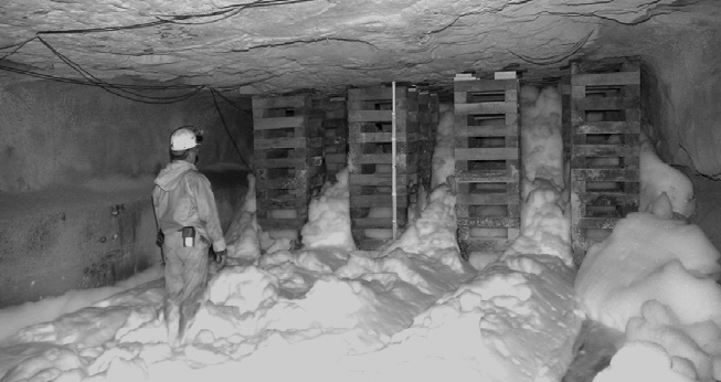 Coal Foam Pty Ltd. Website – Coal Foam Pty Ltd. Website
